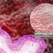 Cytologie (Première Année ) | DEPARTEMENT DE MEDECINE